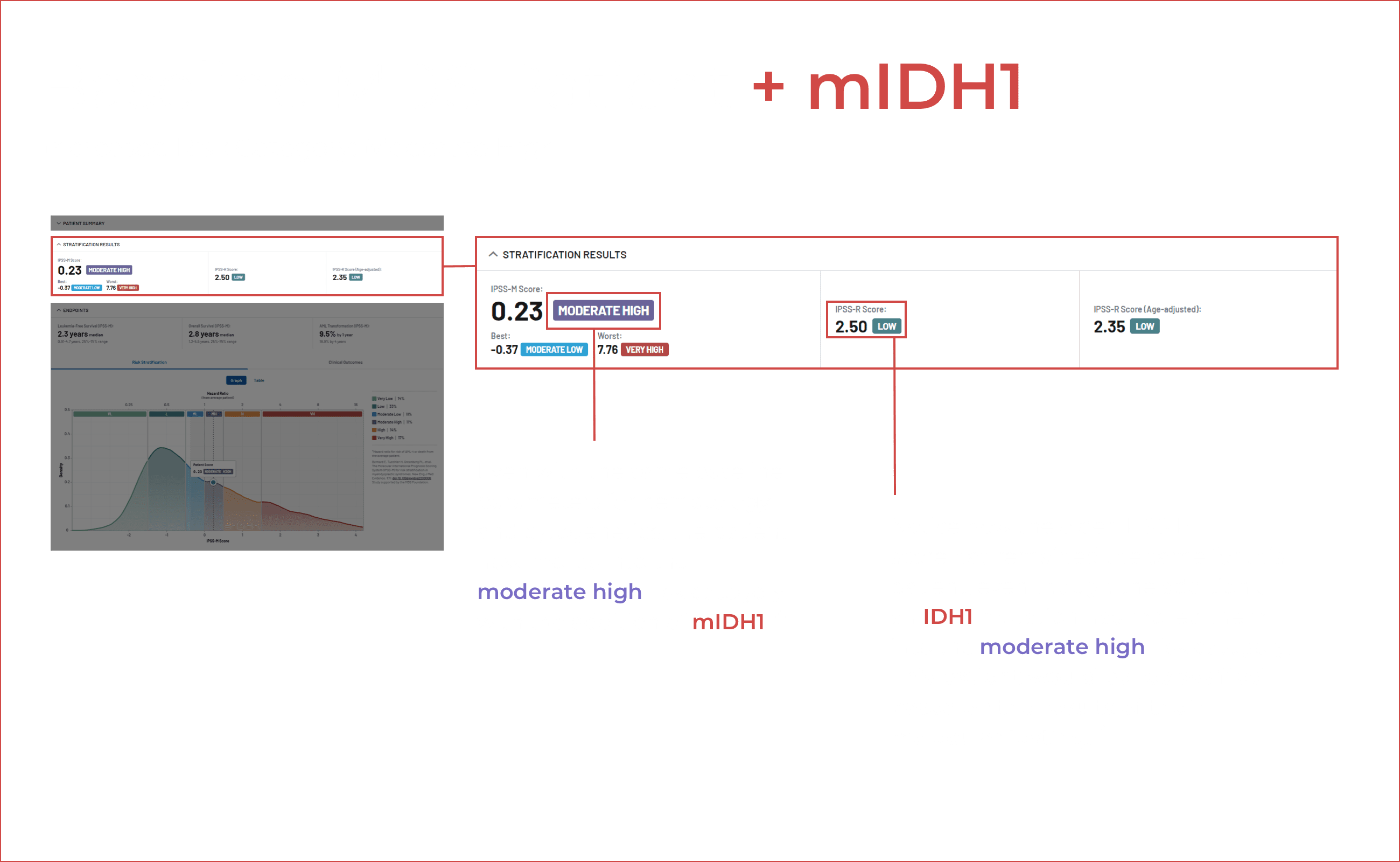 Home - IDH Learn More