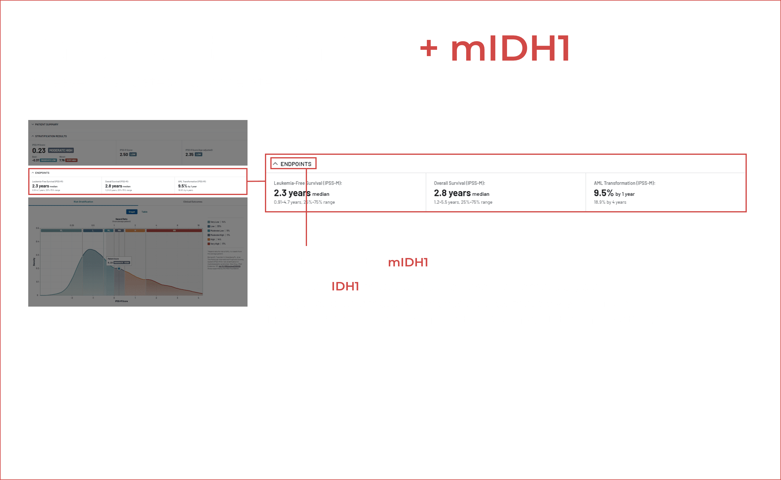 Home - IDH Learn More