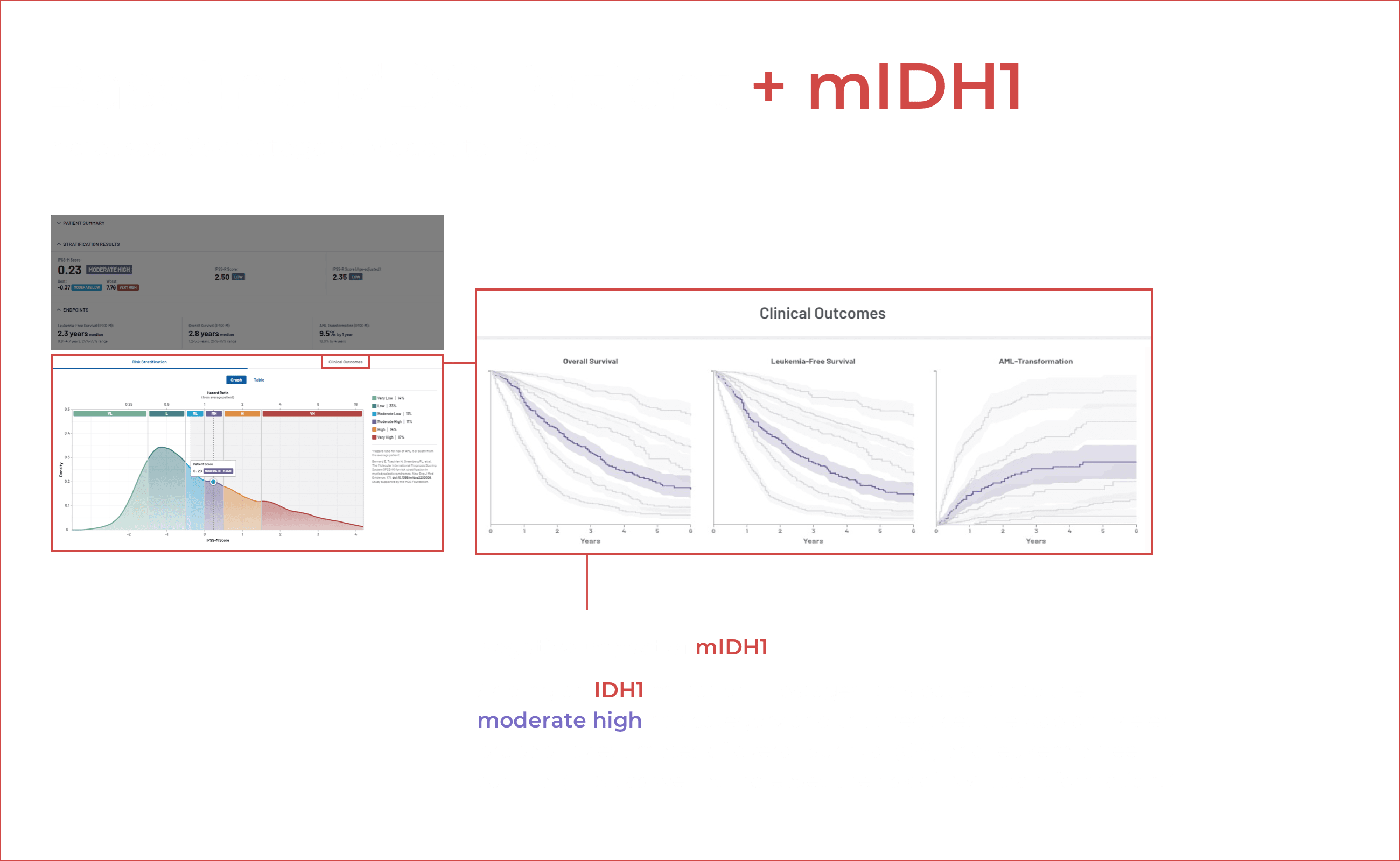 Home - IDH Learn More