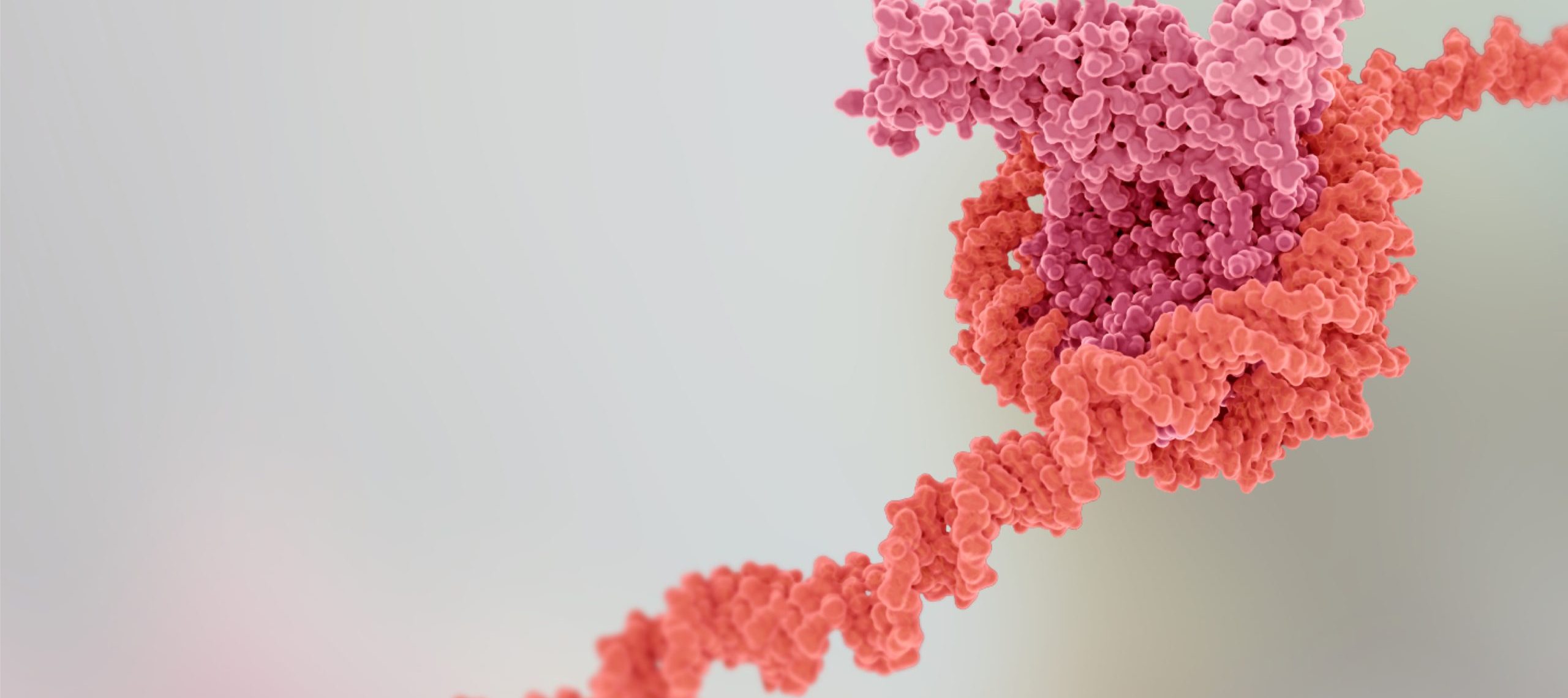 What is IDH? - IDH Learn More