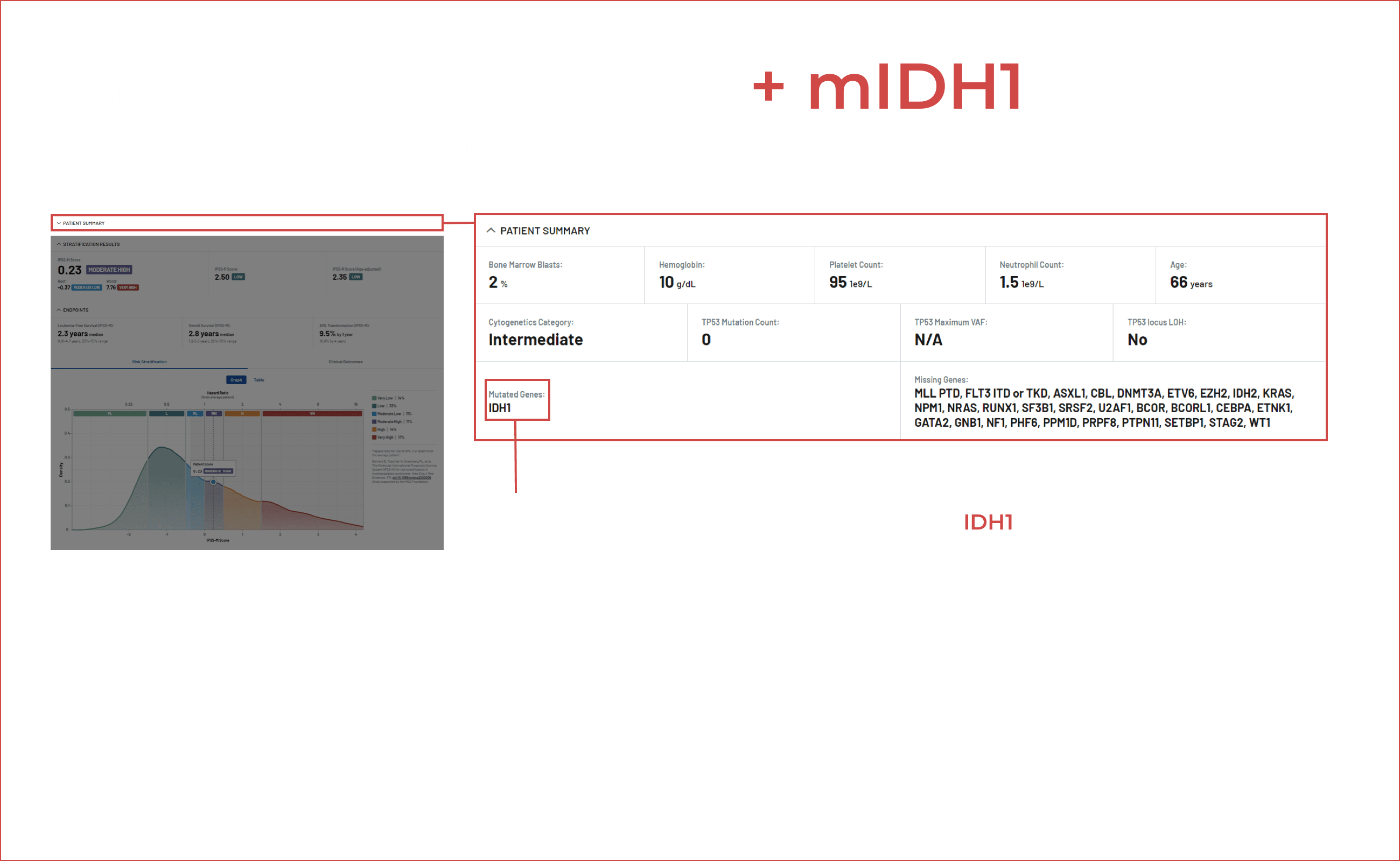 Visualizing The Effect Of Idh Mutations Idh Learn More