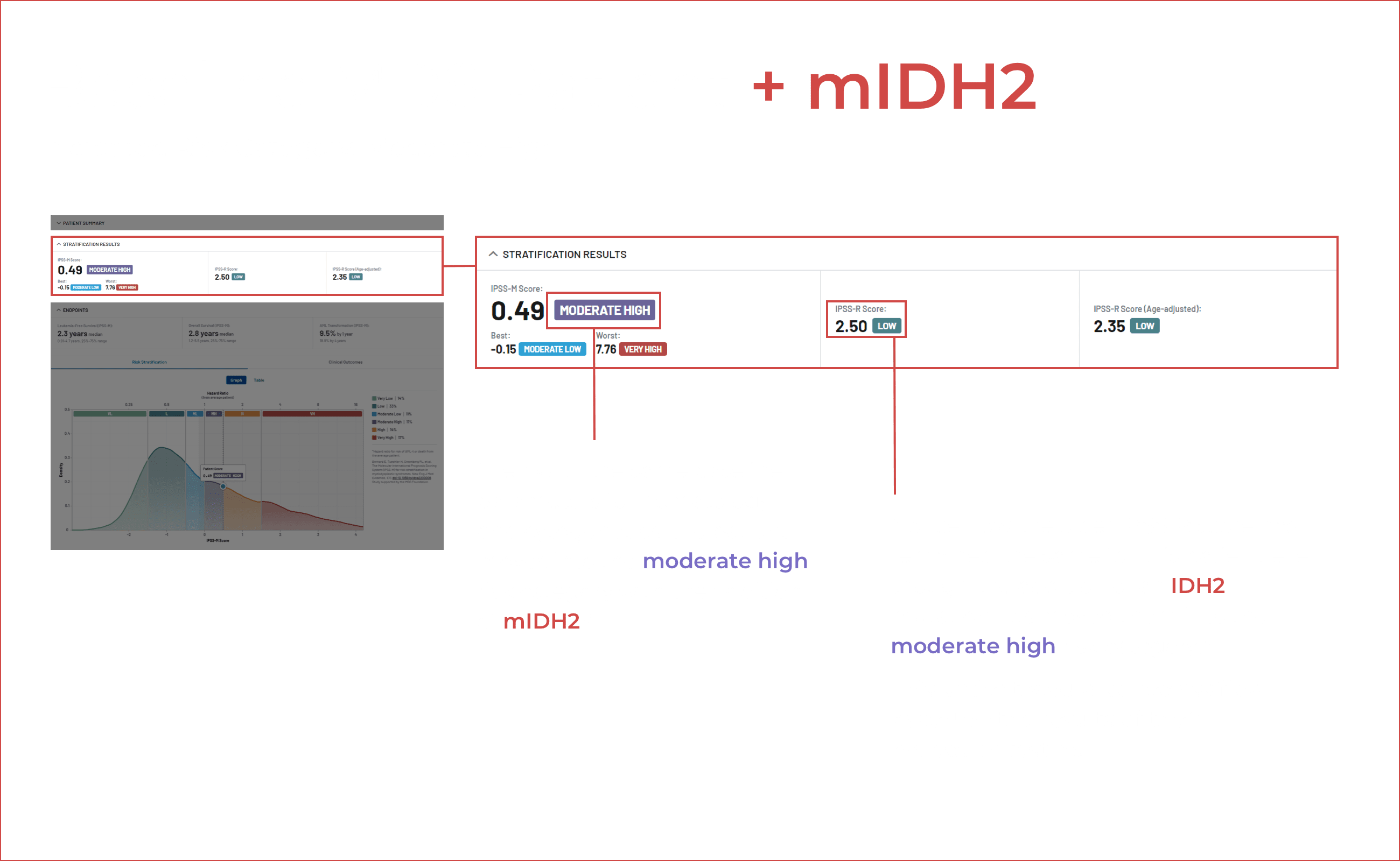 Visualizing The Effect Of Idh Mutations Idh Learn More