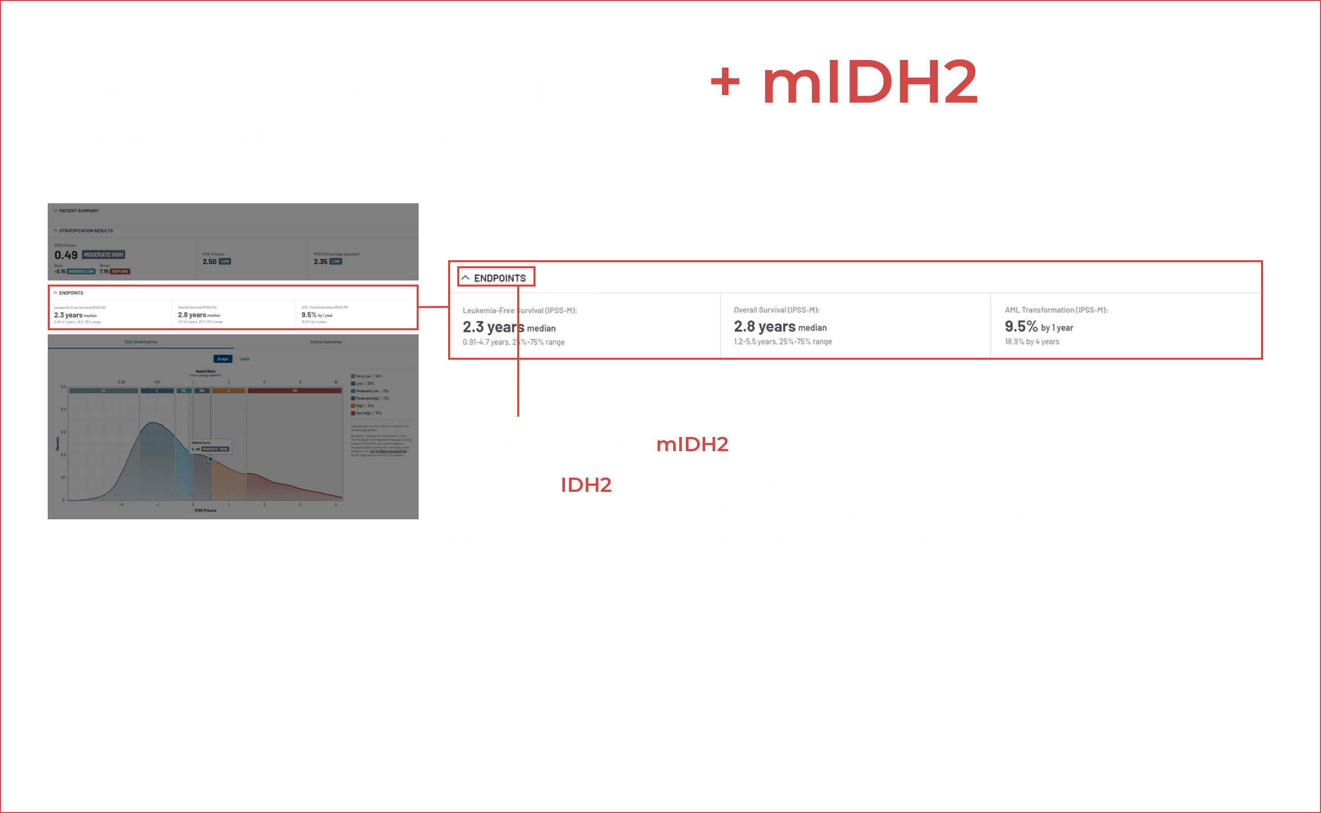 Visualizing the Effect of IDH Mutations - IDH Learn More