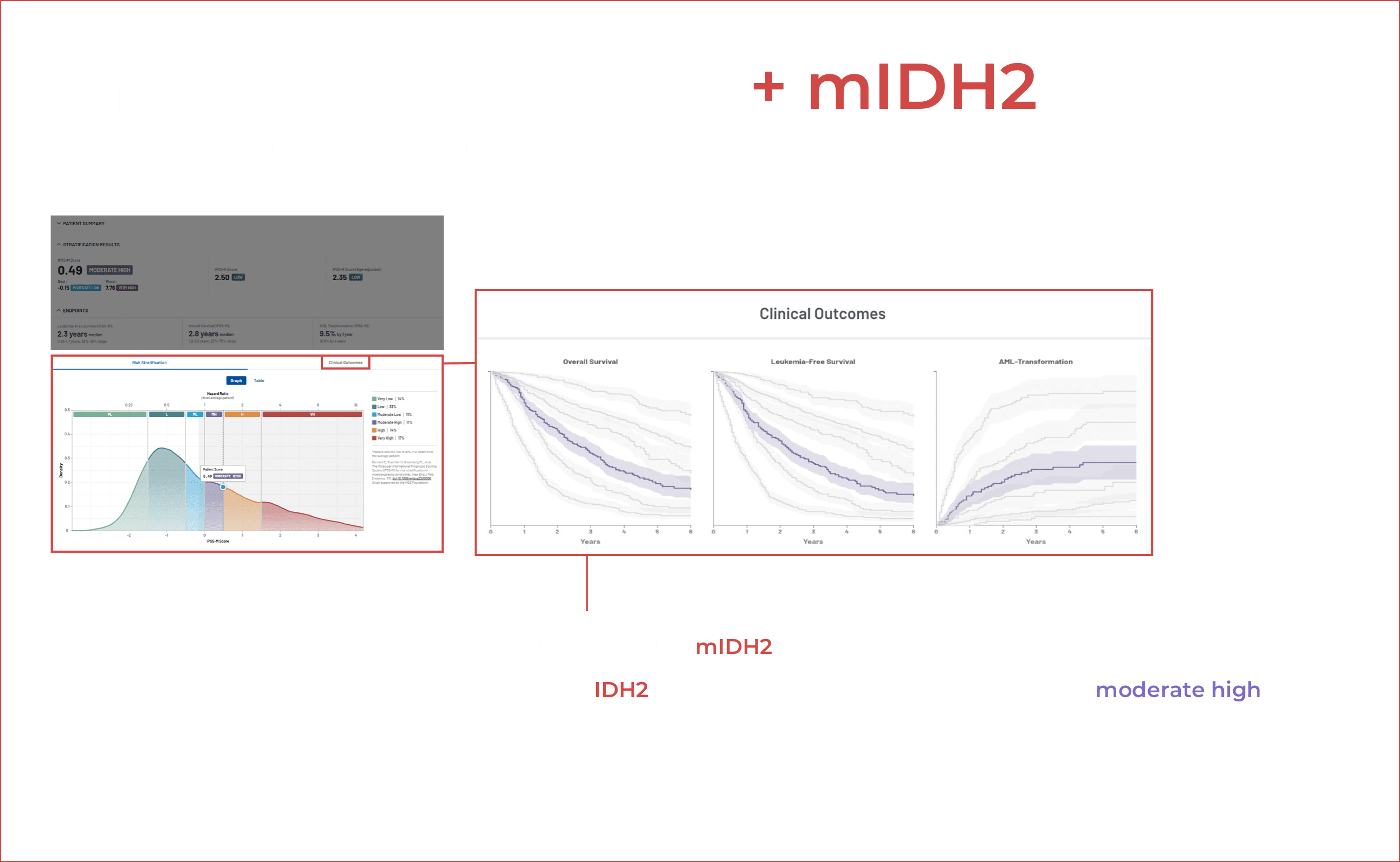 Visualizing The Effect Of Idh Mutations Idh Learn More